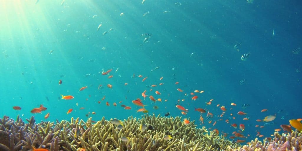 This is Water by David Foster Wallace (Summary + Infographic) | Sloww