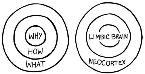 Find Your Why by Simon Sinek (Deep Book Summary + Visuals) | Sloww