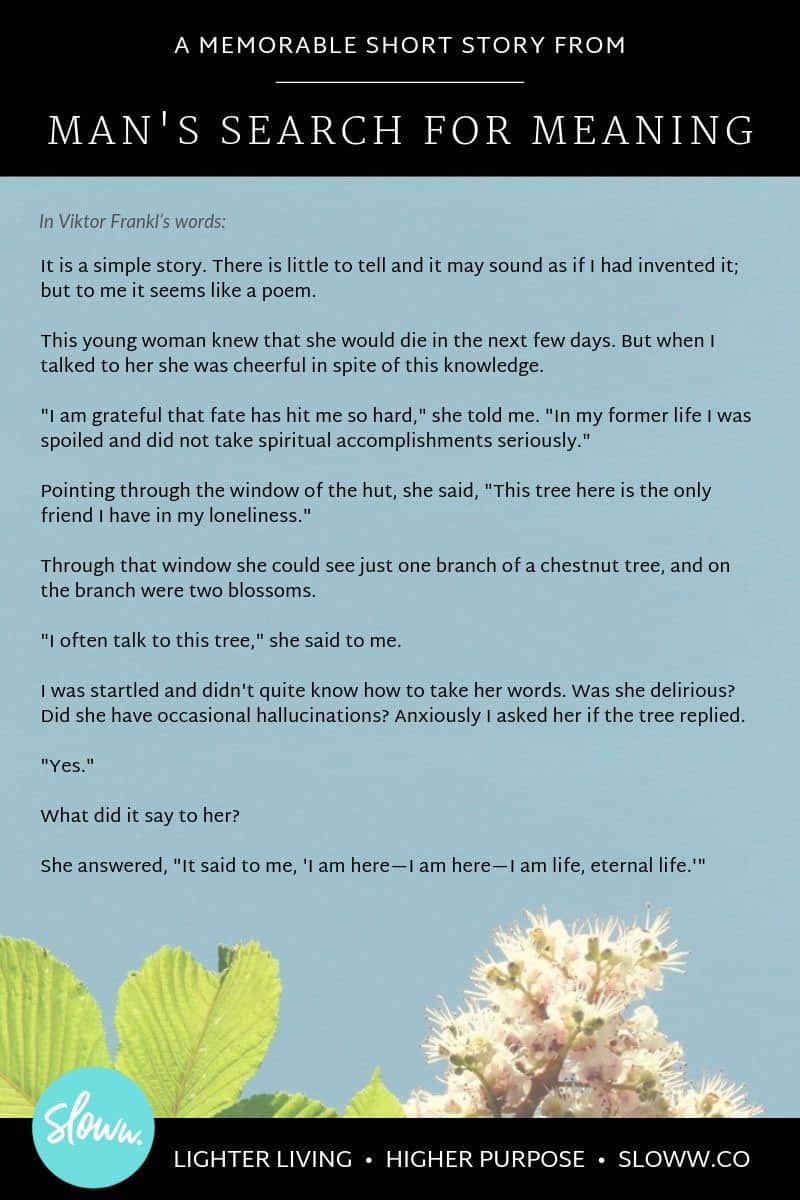 A Memorable Short Story From Man s Search For Meaning Infographic 