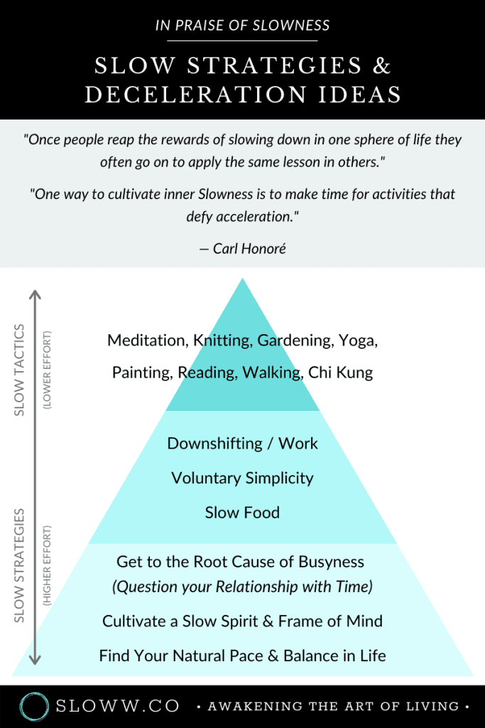 Sloww Premium Infographics ("Photo-Synthesis") | Sloww
