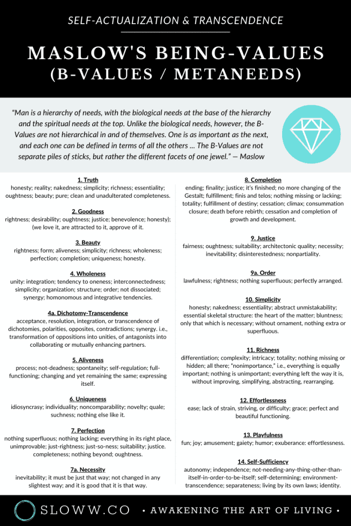 Sloww Premium Infographics ("Photo-Synthesis") | Sloww