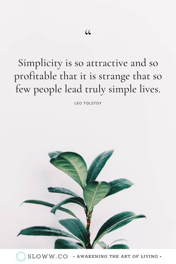 Sloww Sunday 017: Hero's Journey, What is Simplicity, Life Learnings