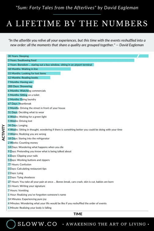 Sum by David Eagleman: A Lifetime by the Numbers | Sloww
