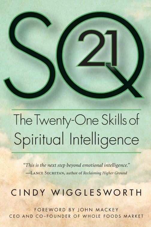 SQ21 by Cindy Wigglesworth (Spiritual Intelligence Book Summary) | Sloww