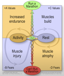 Polarity Thinking 101: Intro to the Power of Polarities (+ Visuals) | Sloww