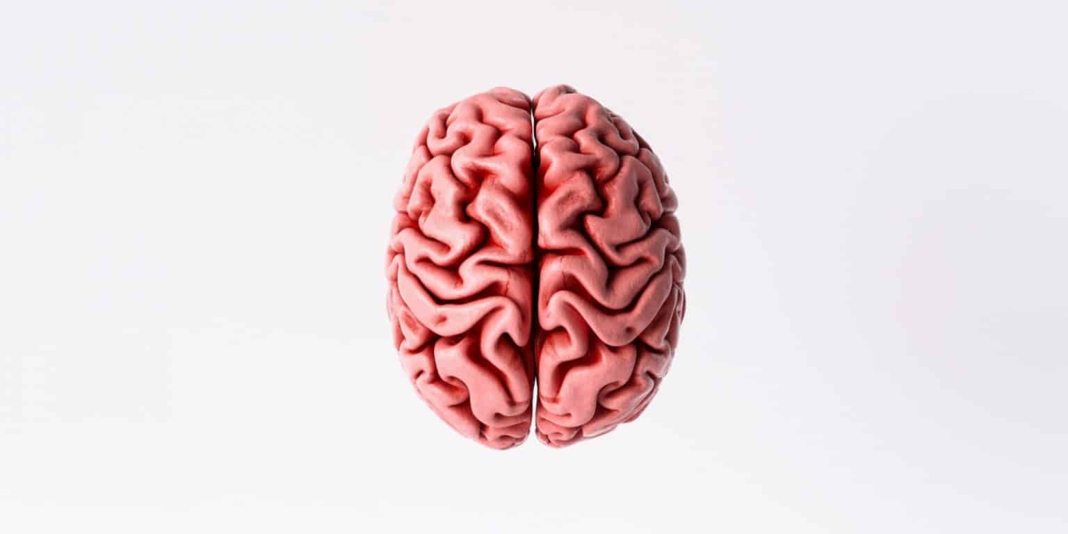 Left Brain & Right Brain: 20 Hemisphere Differences (+ Infographic) | Sloww