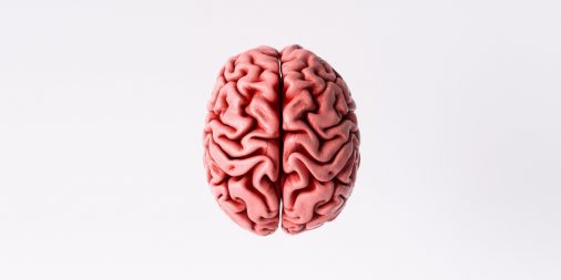 Left Brain & Right Brain: 20 Hemisphere Differences (+ Infographic) | Sloww