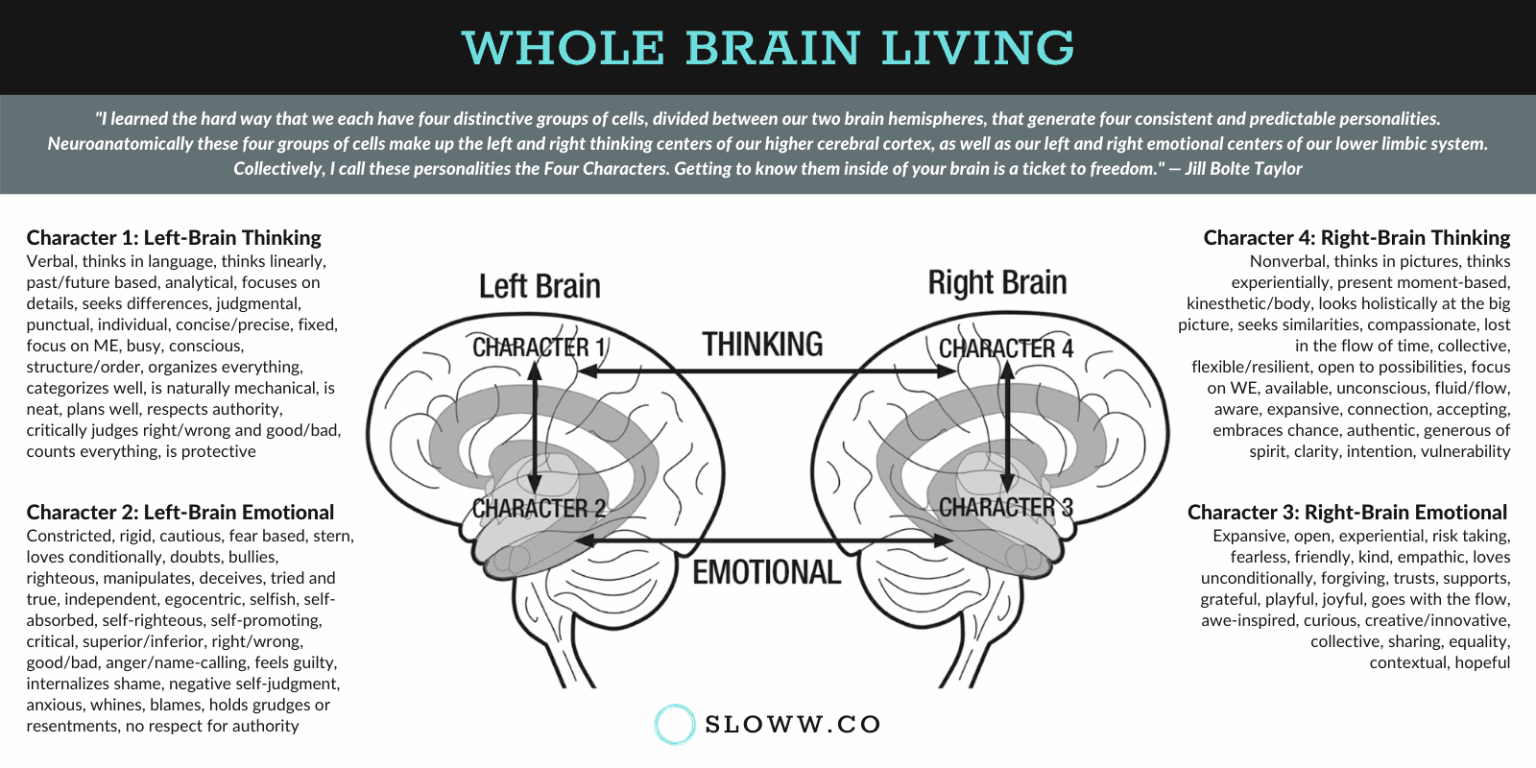 Whole Brain Living by Jill Bolte Taylor (Detailed Book Summary) | Sloww
