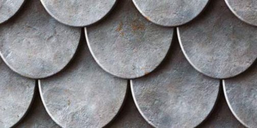 Sloww | The Art of Living for Students of Life