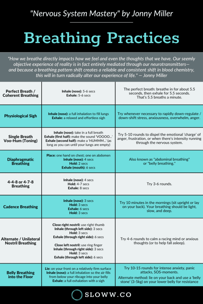 Sloww Premium Infographics ("Photo-Synthesis") | Sloww