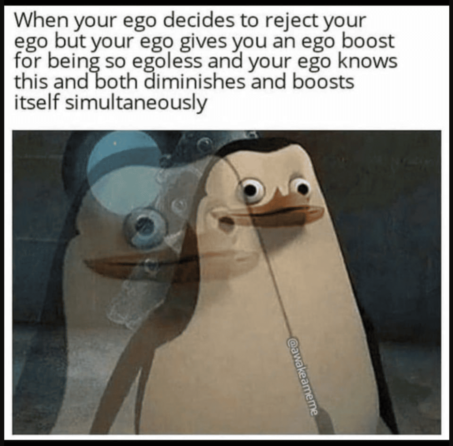 25+ Spiritual Awakening Memes to Wake Up with a Sense of Humor | Sloww