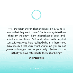 50+ Michael Singer Quotes on Ego, Surrender, Witnessing, & More | Sloww