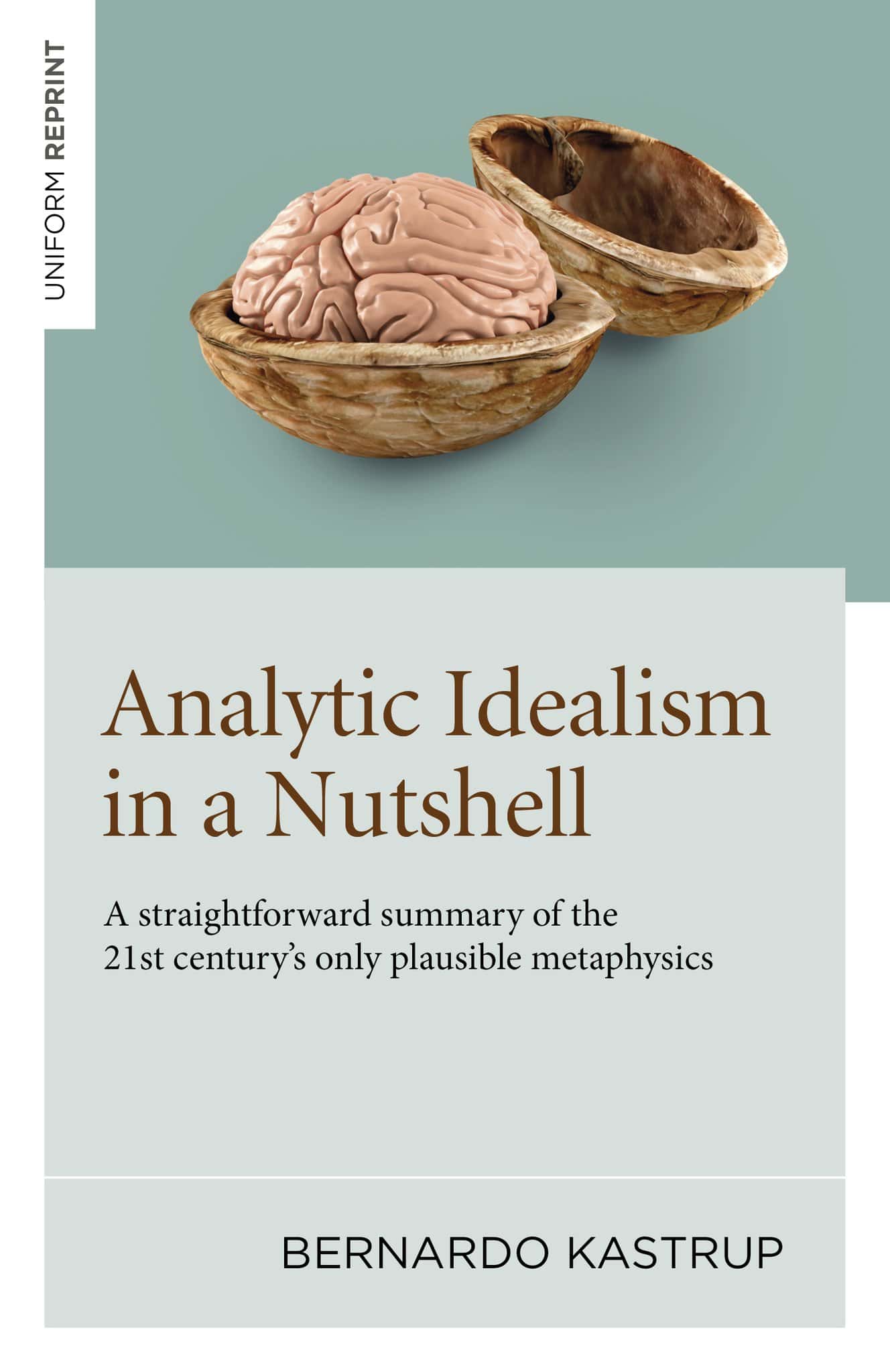 Analytic Idealism in a Nutshell by Bernardo Kastrup (Book Summary) | Sloww